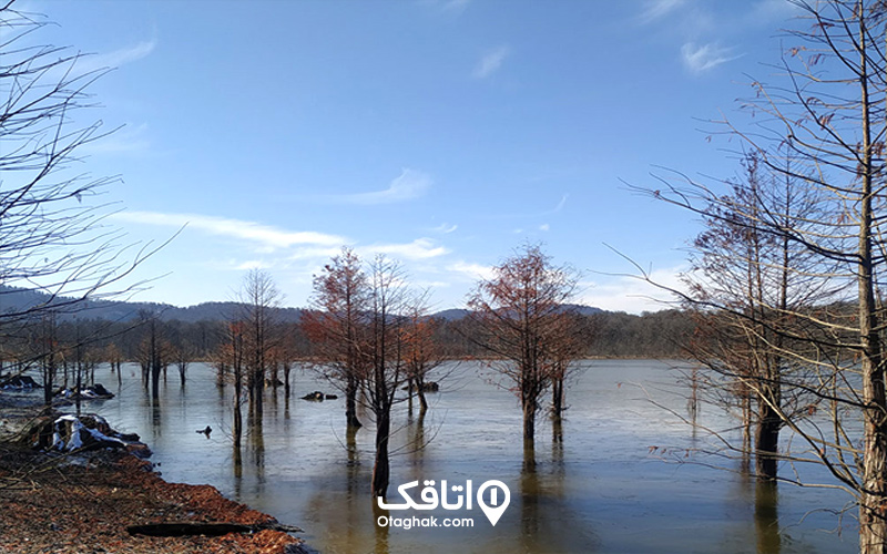 معرفی کامل دریاچه الندان | نگین آرامش‌بخش مازندران