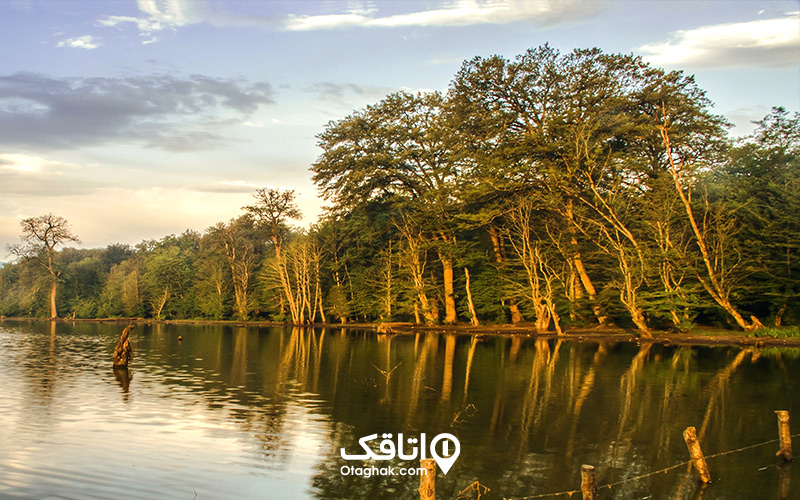 معرفی کامل دریاچه الندان | نگین آرامش‌بخش مازندران