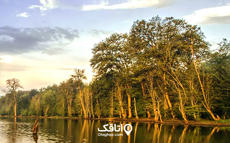 معرفی کامل چشمه باداب سورت | چشمه‌های پلکانی مازندران